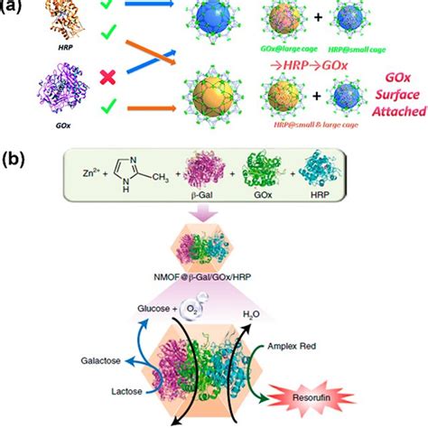 Construction Of A Multienzyme Cascade Nanoreactor Via A Stepwise Download Scientific Diagram