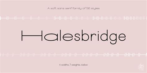 New Variable Width And Weight Sans Font Family On Behance