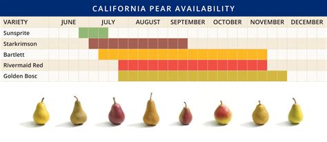 Pear Varieties Chart
