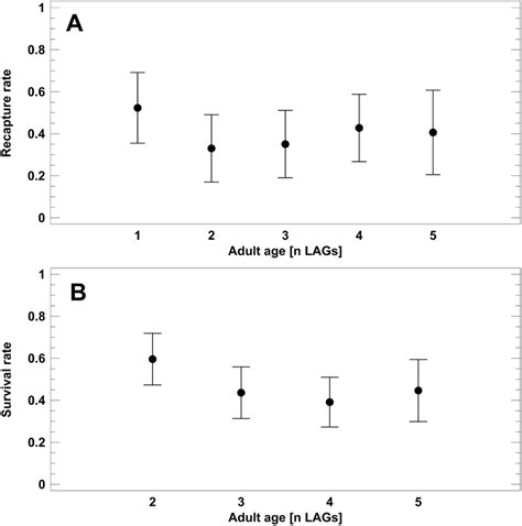 Corrected Recapture Rates Crr Of Known Age Adult Classes A And Download Scientific Diagram