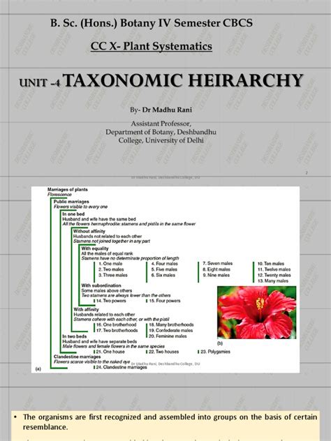 Bt H Iv Taxonomic Hierarchy Pdf Species Taxonomy Biology
