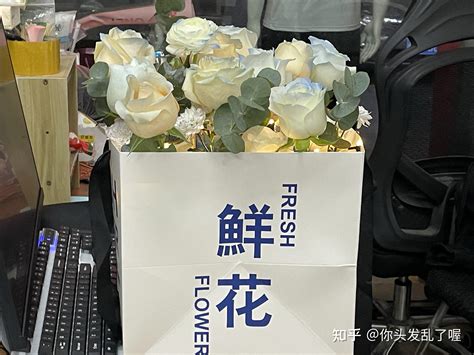 今日小记 知乎