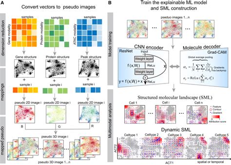exploring structured molecular landscape from single cell multi omics