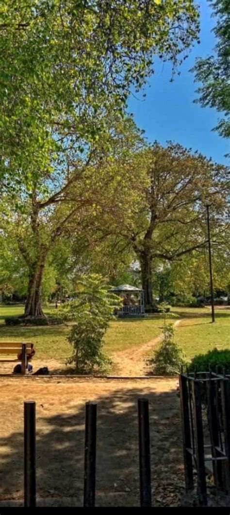 Afshan Noreen On Linkedin Hardwork Hardworkpaysoff Keepgoing Keepstuggling 13 Comments