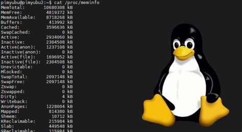 Finding The Disk Usage Of A Folder On Linux Pi My Life Up