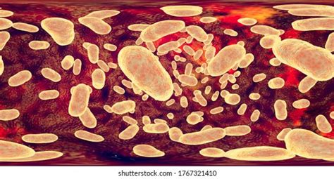 360 Degree Panorama View Porphyromonas Gingivalis Stock Illustration