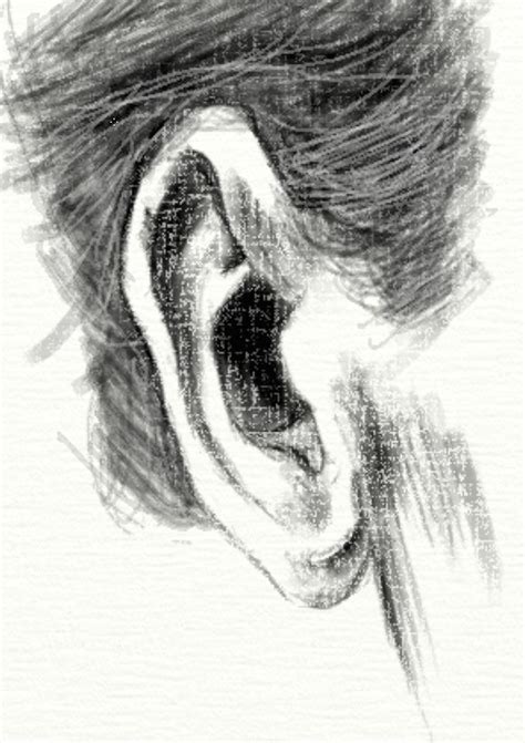Ear Front View By Firez Da On Deviantart