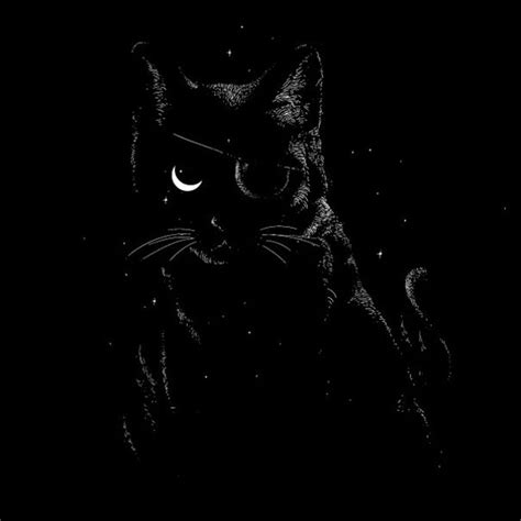 La Vida Secreta De Los Gatos Explicada En 12 Ilustraciones Es La Moda