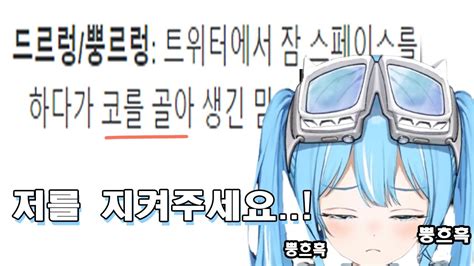 우리 타비를 지켜주세요 YouTube