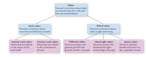 Organizational Behavior Chapter 3 Flashcards Quizlet