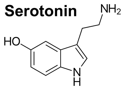 Serotonin Serotonin Function How To Boost Serotonin And Serotonin Foods