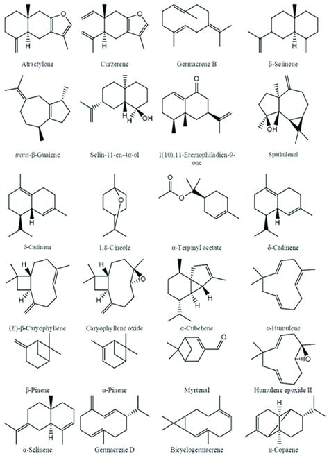 The Main Chemical Components Of Essential Oils Download Scientific