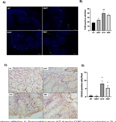 Figure 3 From The Hepatocyte Growth Factor Induces An Anti Inflammatory