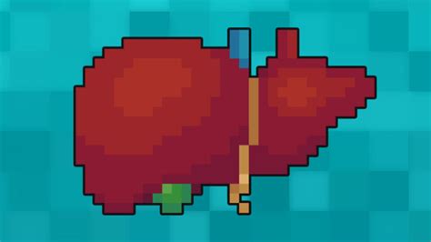 Hyperlipidaemia Causes Clinical Signs Management Geeky Medics