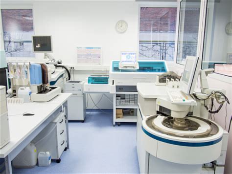 Bioclinica Laborator Analize Medicale Medicina Timisoara