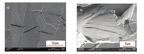 A Cleavage Microcracks Observed On A Longitudinal Section Of A Low