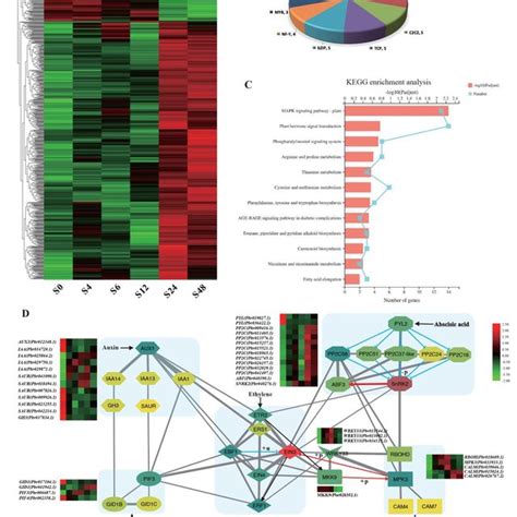 Wgcna Module Identification And Correlation Analysis A The