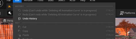 Cant Undo While Deleting All Animation Curve Is In Progress R