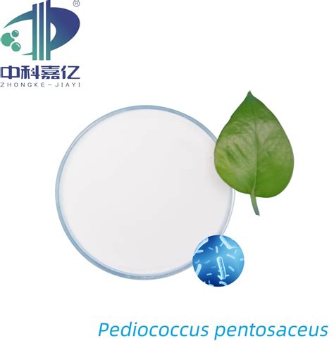 Pediococcus Pentosaceus Probiotics For Improving Mouth Health China