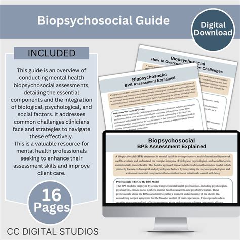 Biopsychosocial Guide 240 Case Formulation Phrases And Strategies