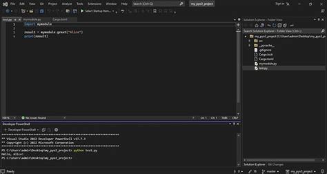 Bridging The Gap Between Rust And Python With Pyo3 Geeksforgeeks