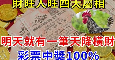 恭喜，明天起一筆橫財從天降，彩票中獎100，財富如雨下，財旺人旺四屬相