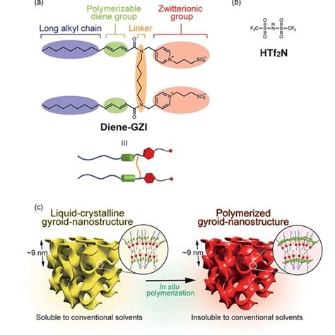 Design Strategy For Creating A Gyroid Nanostructured Matrix A Download Scientific Diagram