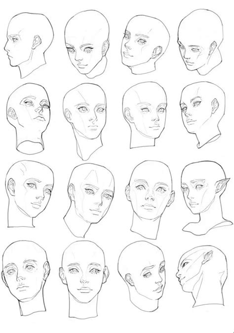 人体结构干货分享｜头部结构