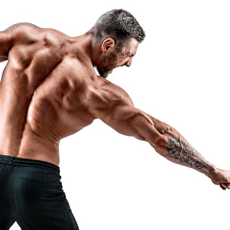 5 Effective Kettlebell Triceps Exercises For Sculpted Arms Workout Guru