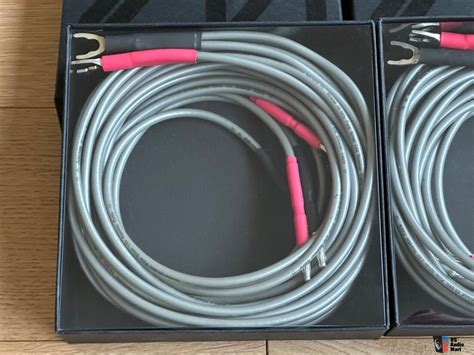 3m Bi Wired Audio Note Uk An Spx 27 Strand 9999 Pure Silver Litz