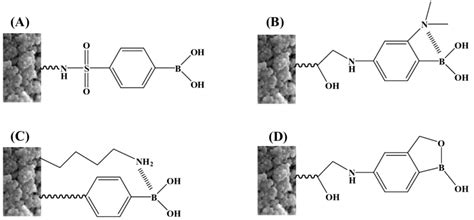 Boronic Acid Based Ligands On Solid Phase Surface For Diol Binding At