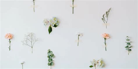 دکوراسیون و تزیین خانه با گل خشک زیبایی و 10 ایده مجله دکوراسیون هشتی