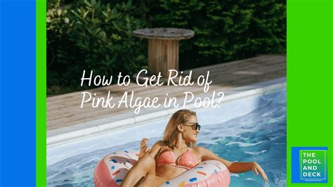 How To Get Rid Of Pink Algae In Pool 9 Step Effective Process