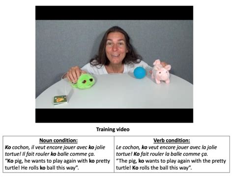 Example Of The Script Used In The Two Versions Of The Training Video