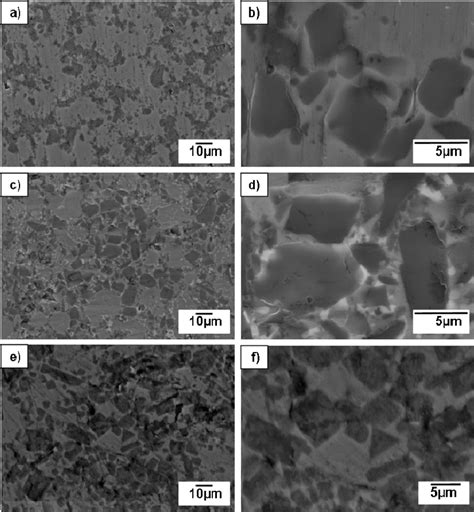 Sem Micrographs For The Sintered Compacts Where A And B 50vol