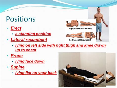 Human Body And Directional Terms Ppt Video Online Download