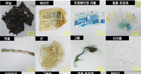 멸종위기종 바다거북 사체서 나온 해양플라스틱이 무려 118g
