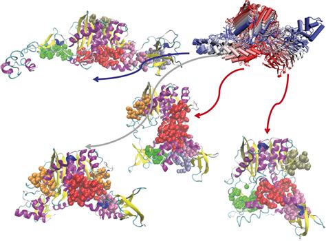 The Hiv 1 Integrase Modeling And Beyond Intechopen