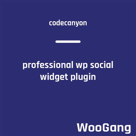 professional wp social widget plugin woogang