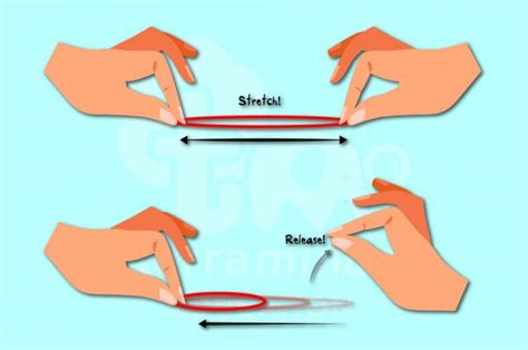 Stretch And Go Elastic Potential Energy Experiment