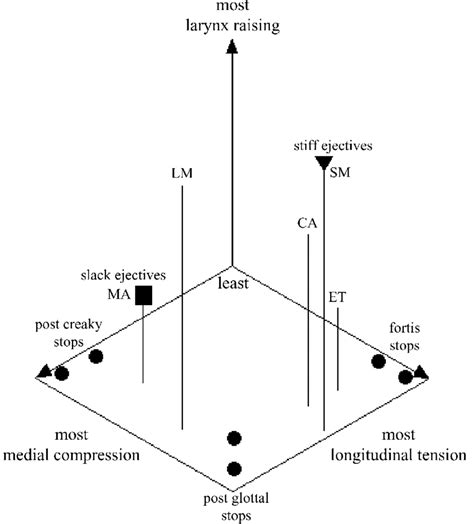 Some Of The Possible Ejective Variants Given Continuous Adjustments