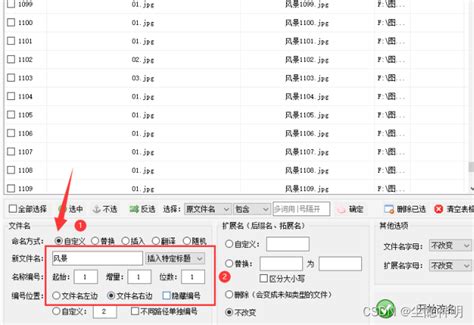 文件批量重命名：多个路径文件批量改名编号并移动到同一路径的操作方法一键重命名多个文件 Csdn博客