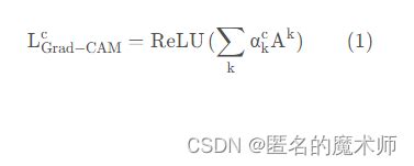 yolov5 Grad CAM可视化以及对可视化过程的分析 yolov5 gradcam CSDN博客