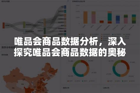 唯品会商品数据分析，深入探究唯品会商品数据的奥秘 观远数据bi平台
