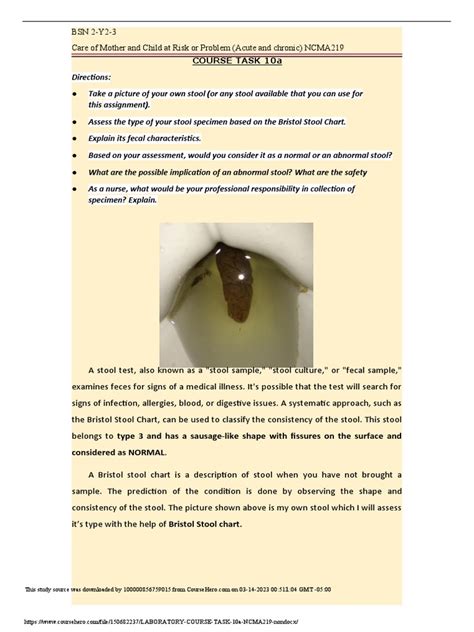 Laboratory Course Task 10a Ncma219 Non Pdf