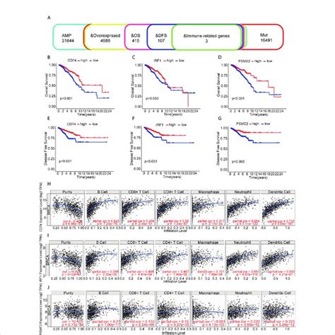 Relationships Of Tumor Associated Antigens With Prognosis And Immune
