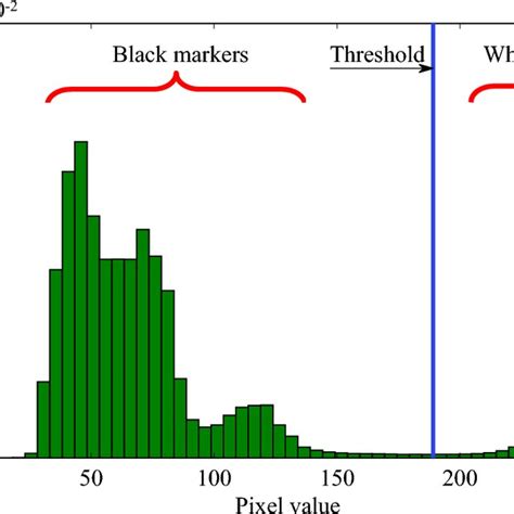 Noise Filtering Steps For The Scale Area Of The Specimen A Raw