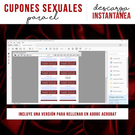 Vales Sexuales Para L Cupones De Sexo Imprimibles Regalo Etsy Espa A
