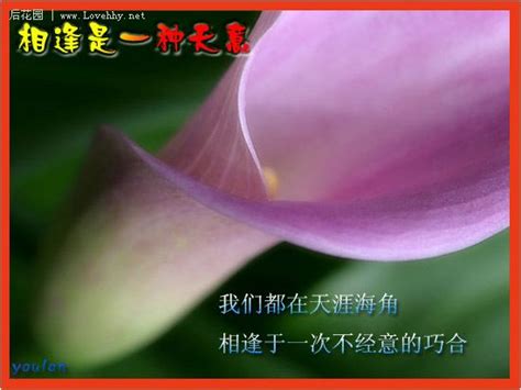 相逢是首歌图片大全相逢是首歌带字图片相逢是首歌图片第10页大山谷图库