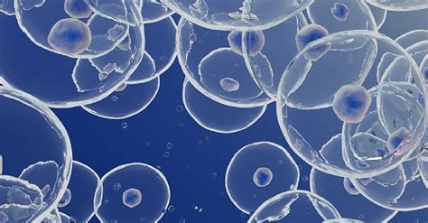 Evident Life Science On Linkedin Biocompares New Super Resolution Microscopy Selection Guide